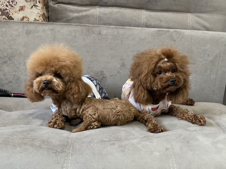 Малыш 2 недели (резерв)