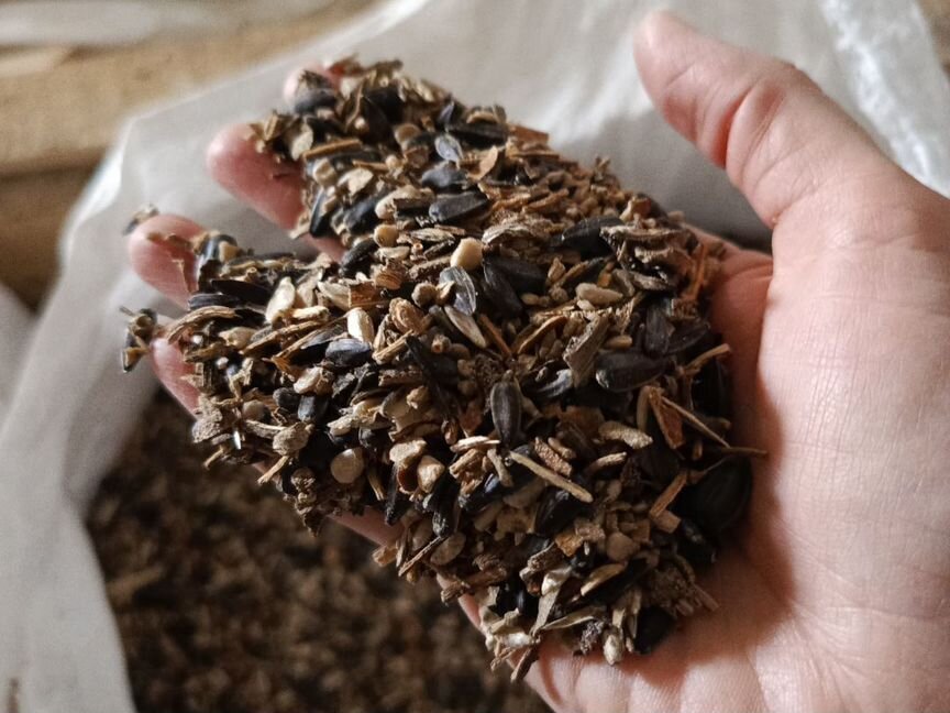 Отходы семян подсолнечника