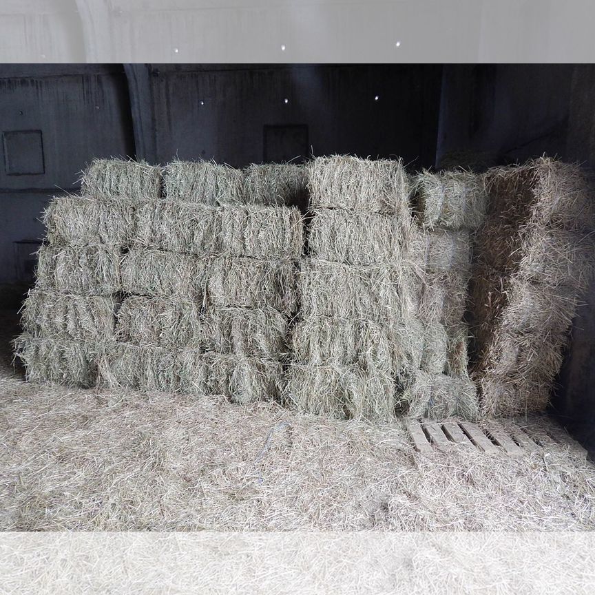 Сено в тюках