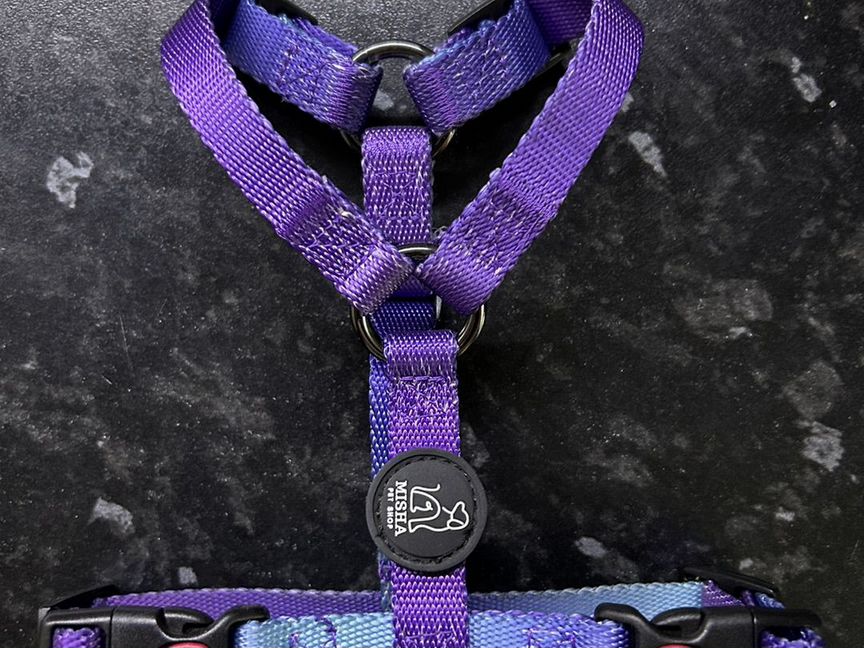 Шлейка анатомическая для собак