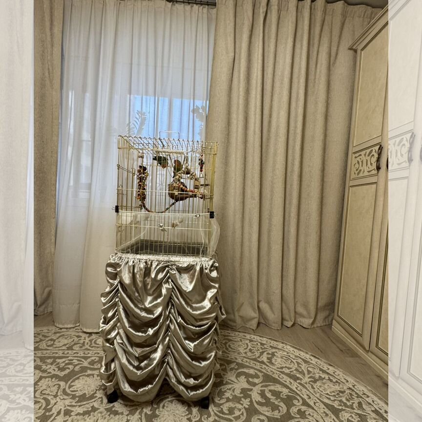 Попугаи неразлучники с клеткой