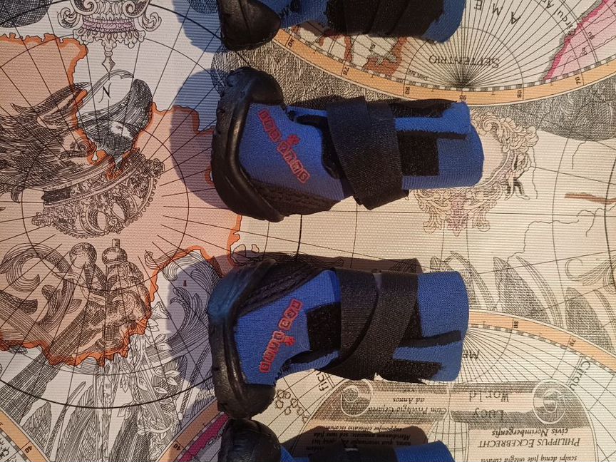 Обувь для собаки XS