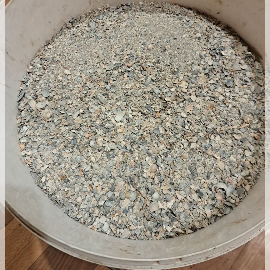 Ракушка для животных