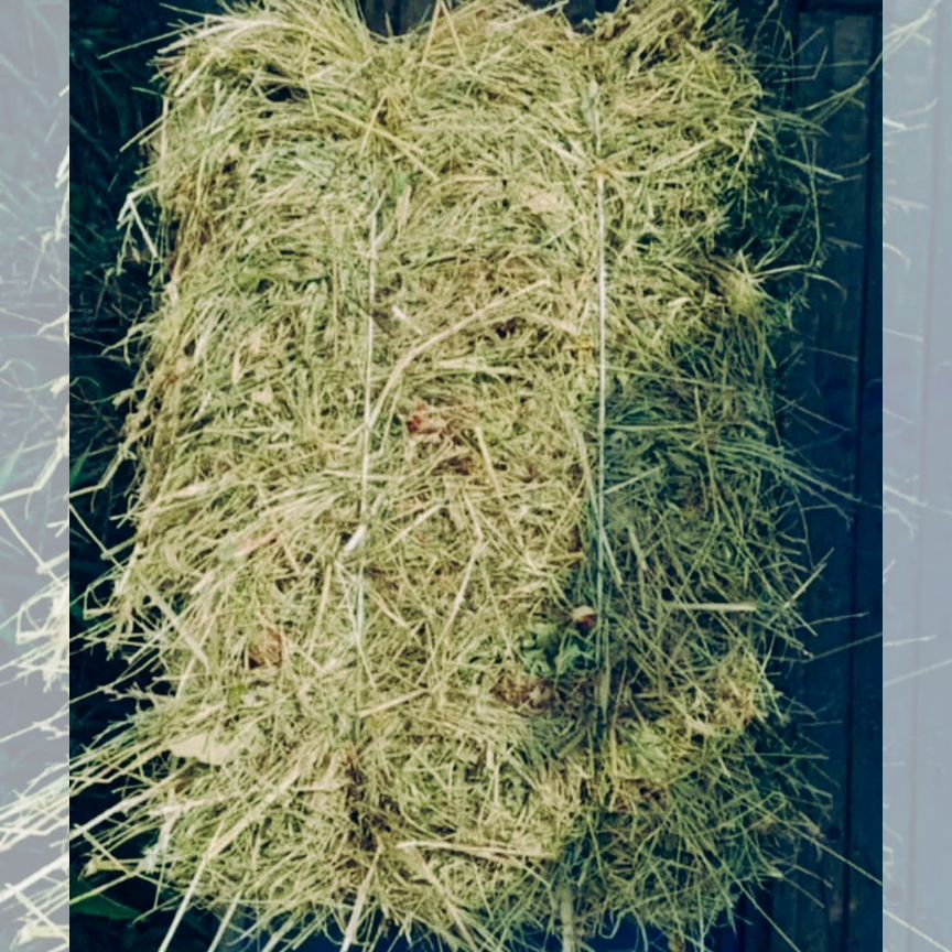 Сено в тюках