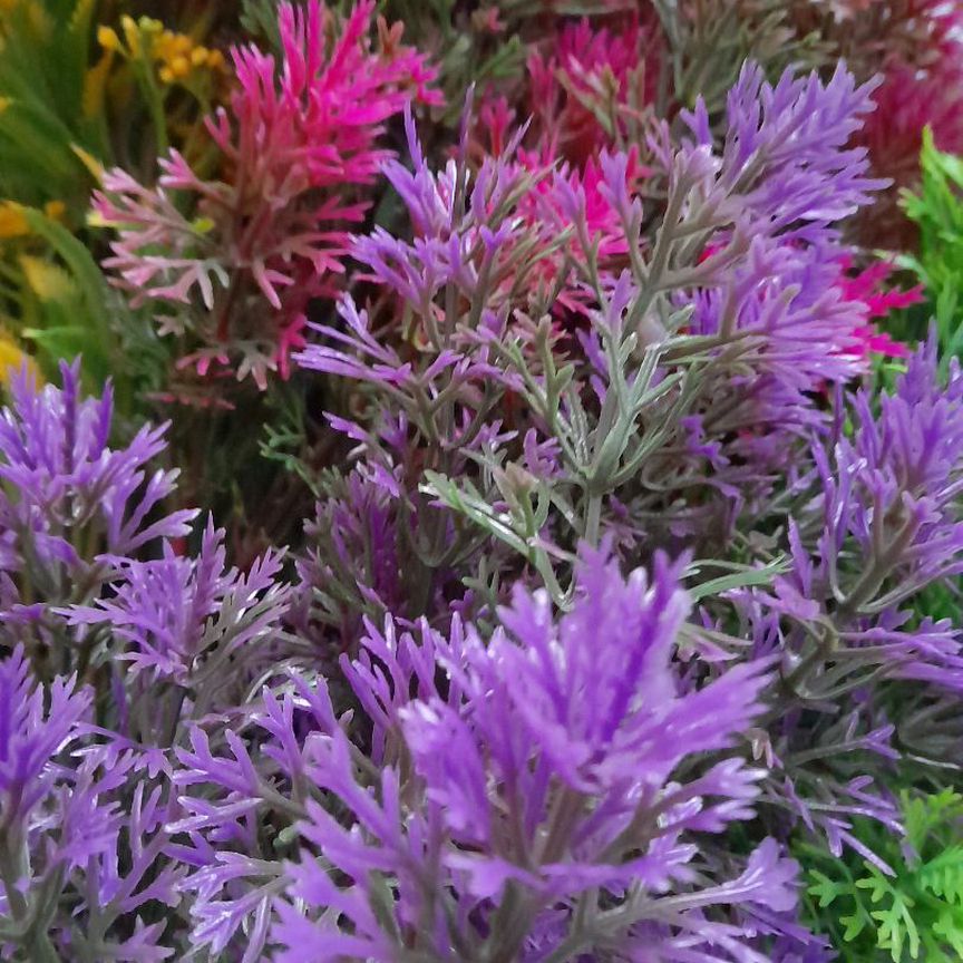 Для аквариума искусственные водоросли