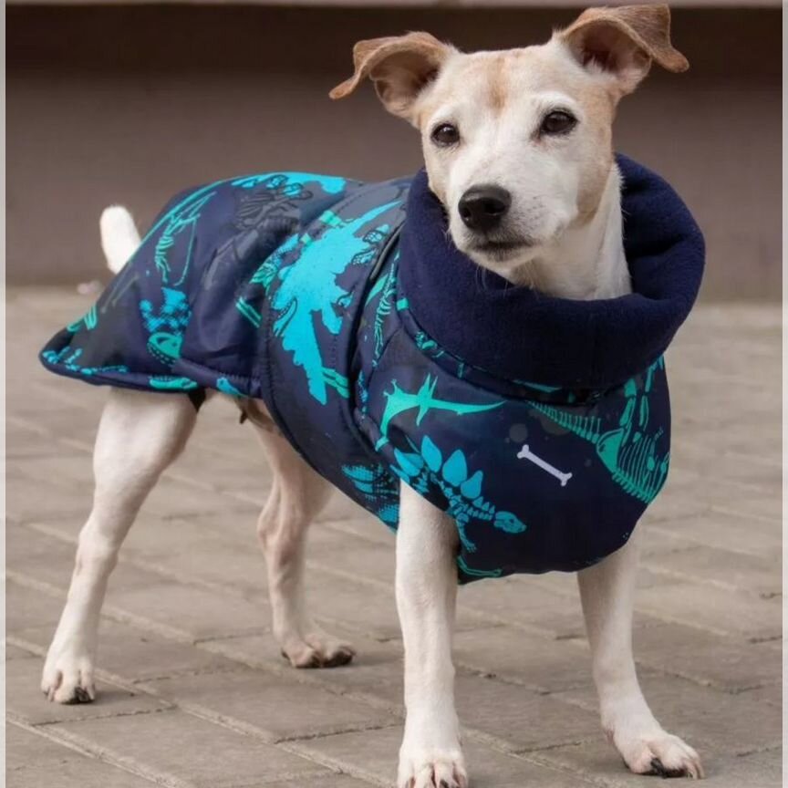 Попона для собак