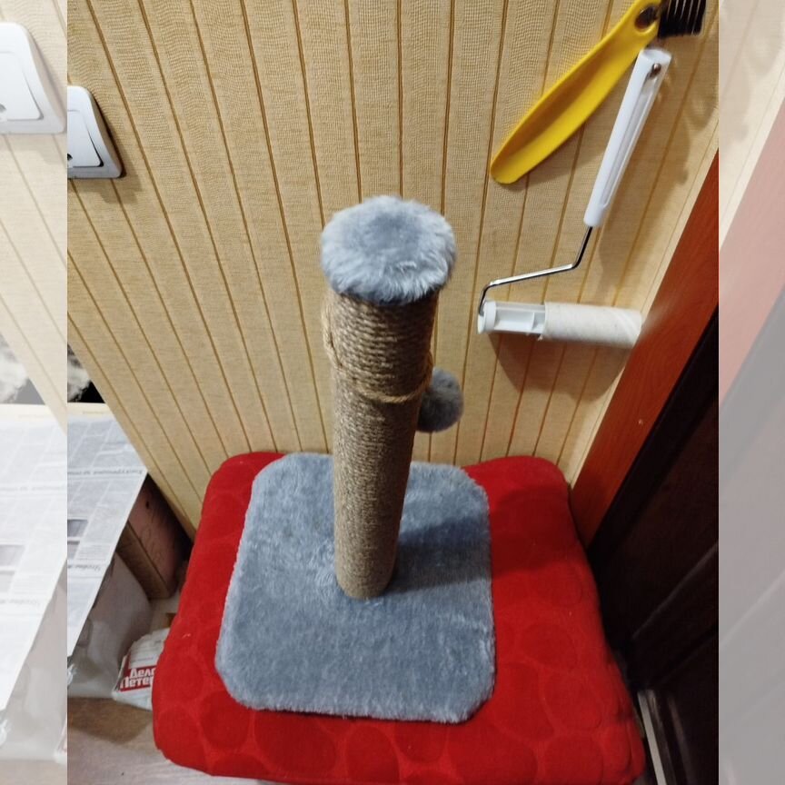 Когтеточка для кошек