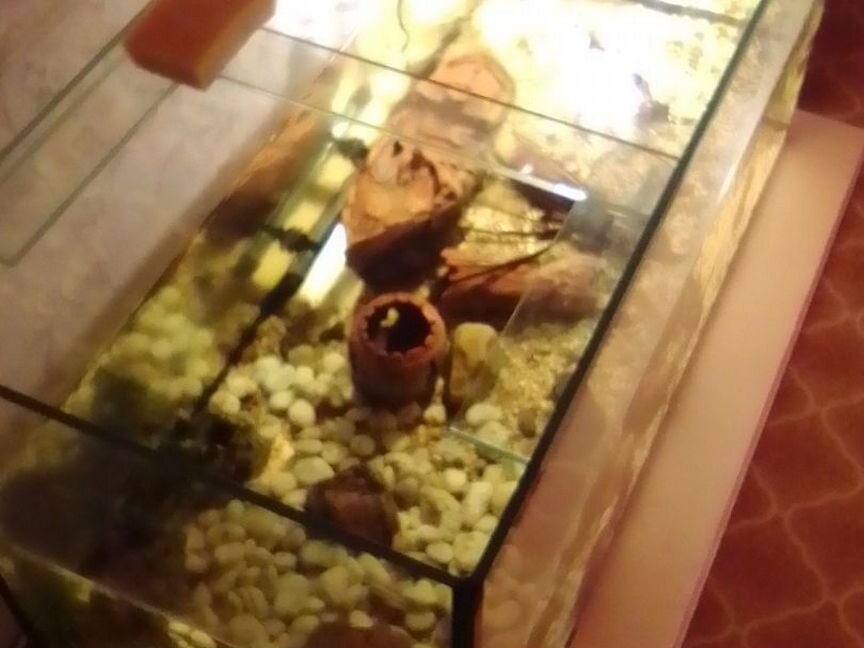 Аквариум 300литров