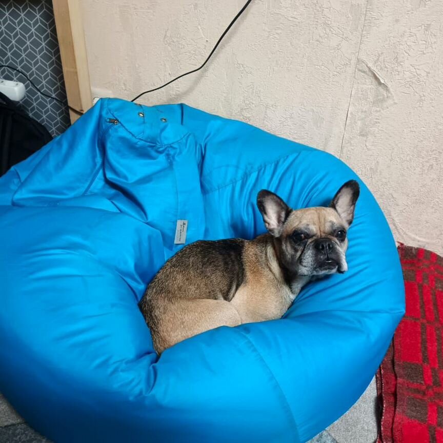 Тина в поисках дома