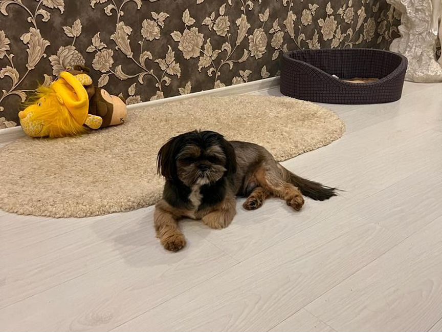 Зимний комбинезон