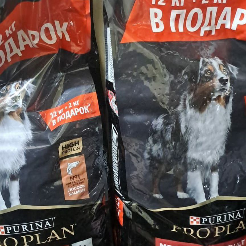Про план медиум лосось