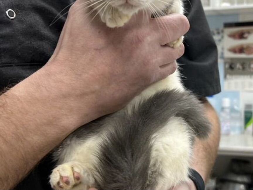 Девчонка малышка ждет вас