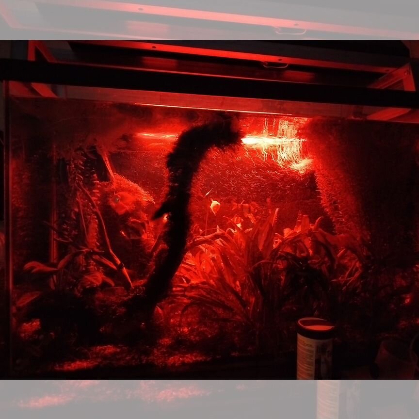 Аквариум 120 литров