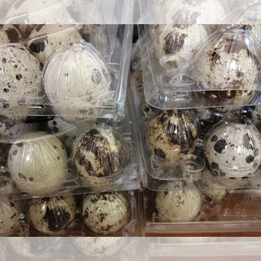 Инкубационное яйцо. Белый гигант