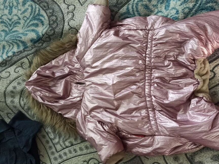 Зимний комбинезон бу на маленькую собачку