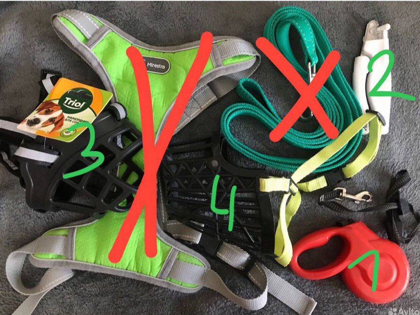 Амуниция для собак. Поводок, намордник, шлейка