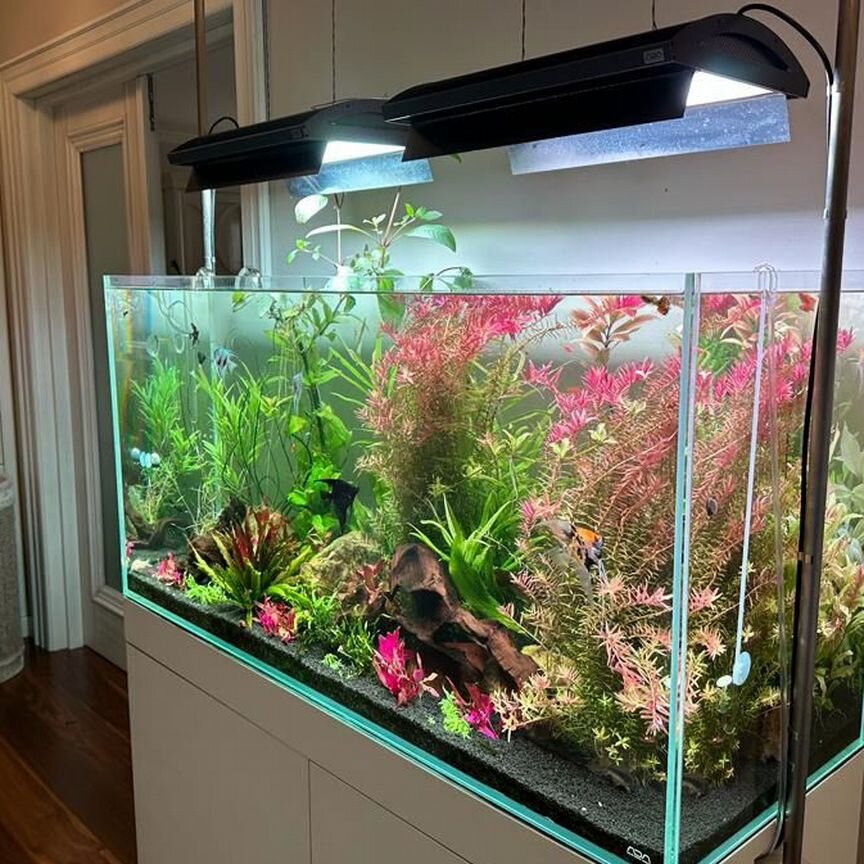 Аквариум ADA 300л оригинал