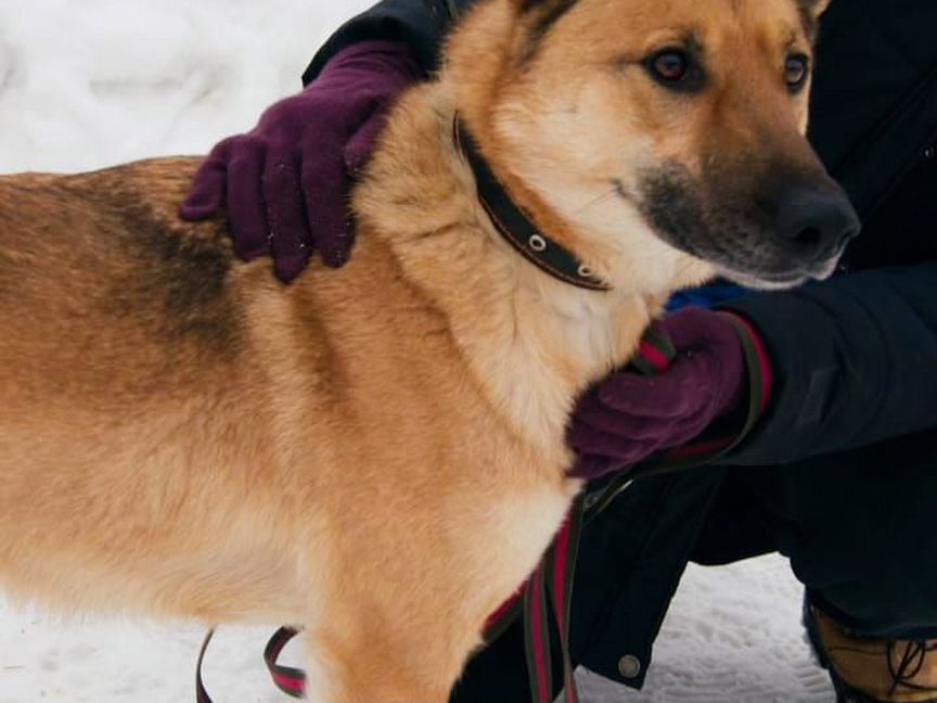Боня - "заколдованный" принц ищет дом