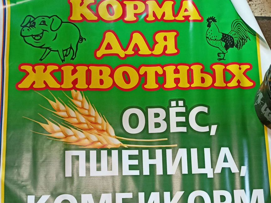 Корм для животных, комбикорм, пшеница, овёс