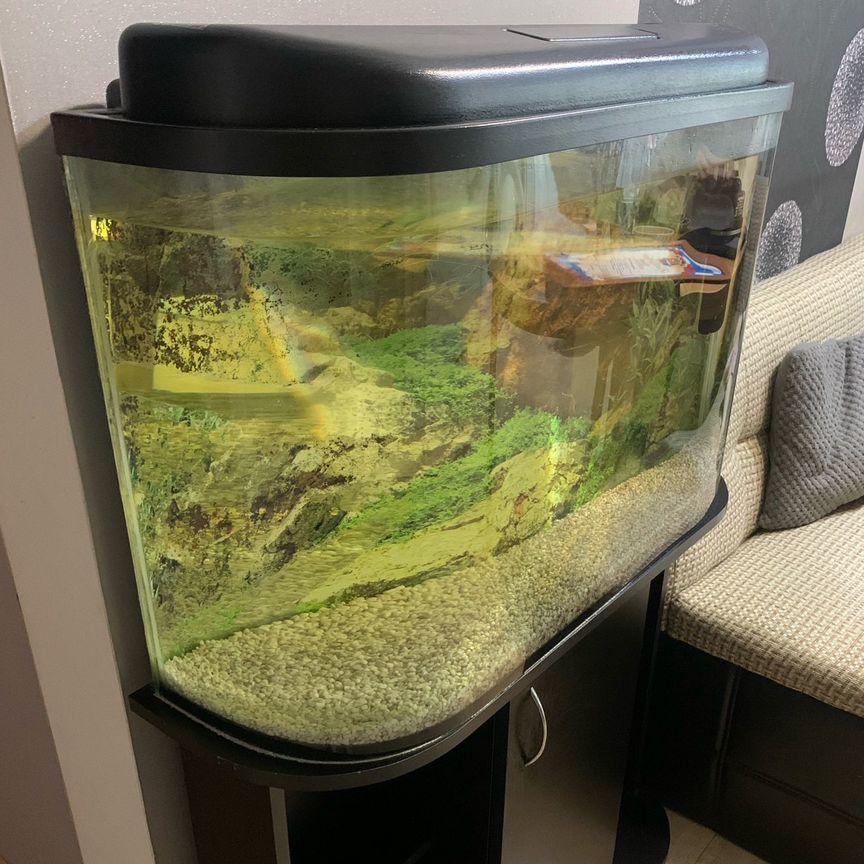 Аквариум с тумбой
