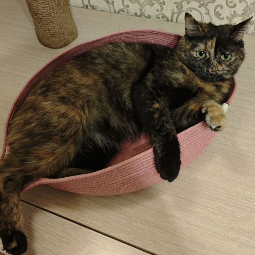 Лежанка для кошки