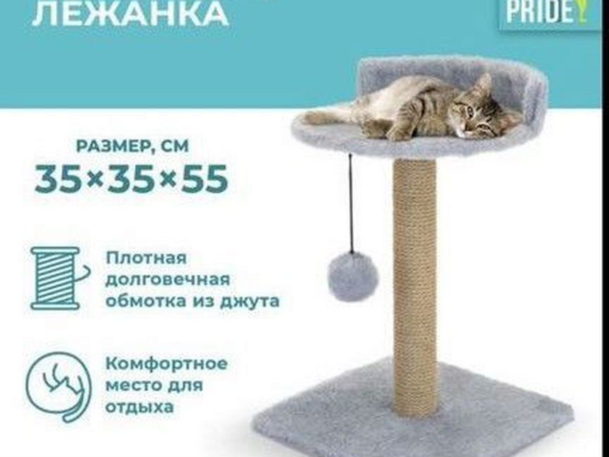 Когтеточка