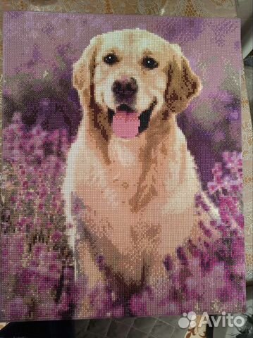 Картина "Золотистый ретривер"