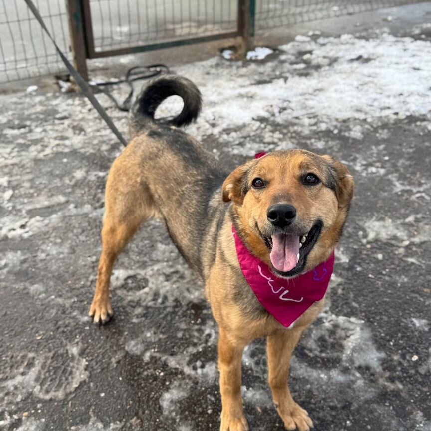 Молоденькая Мина