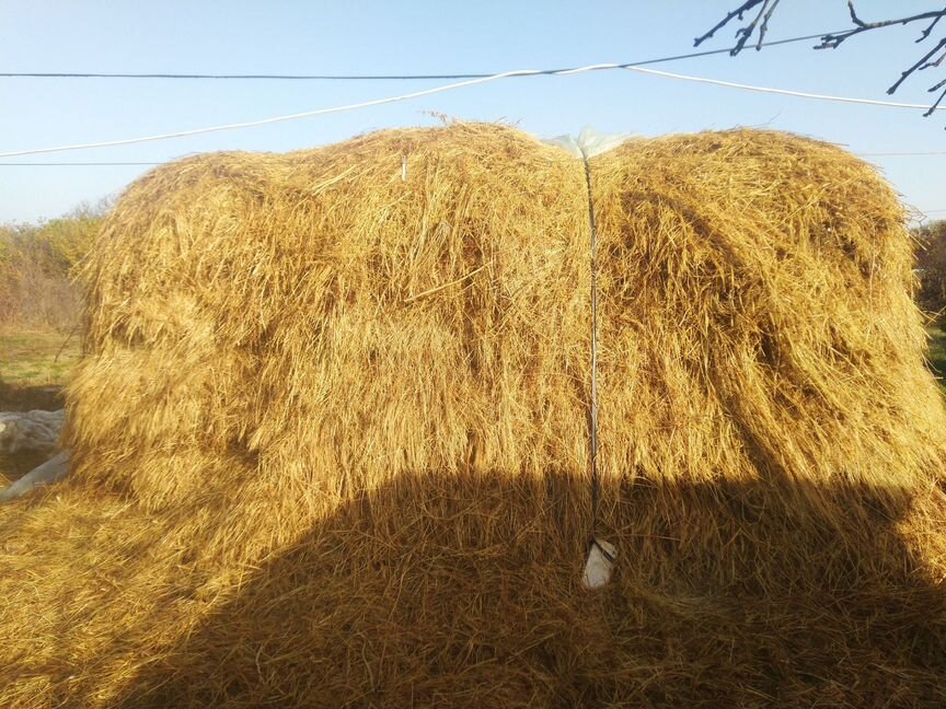 Сено эспарцет+люцерна+разнотравье