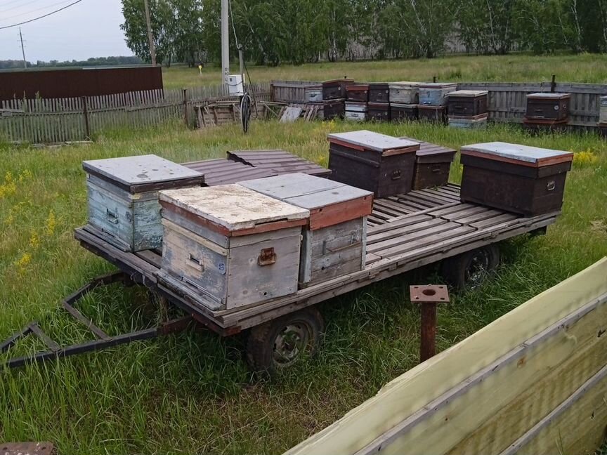 Улики для пчел