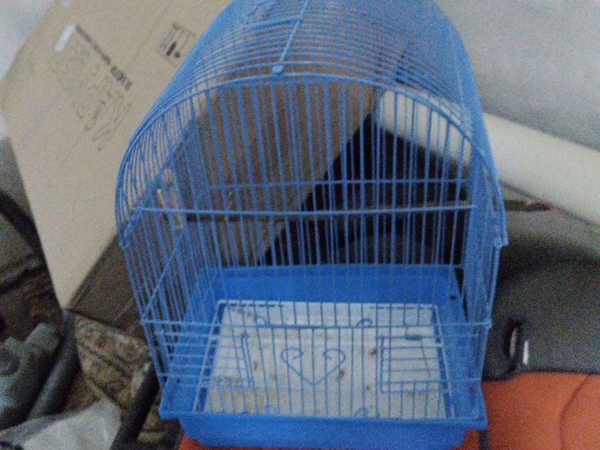 Клетка для попугая