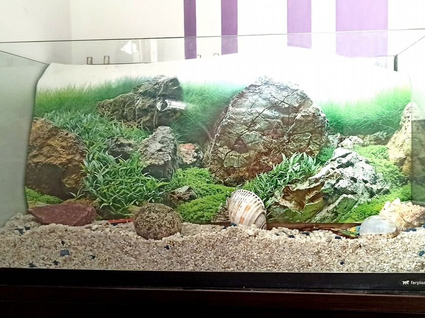 Аквариум Ferplast 100л