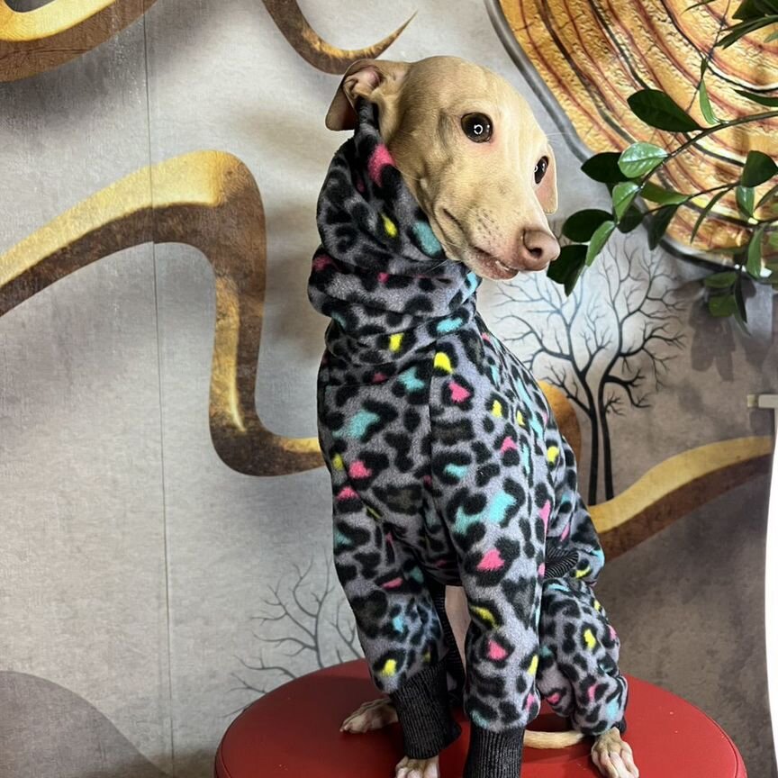 Комбинезоны для левретки 34-35