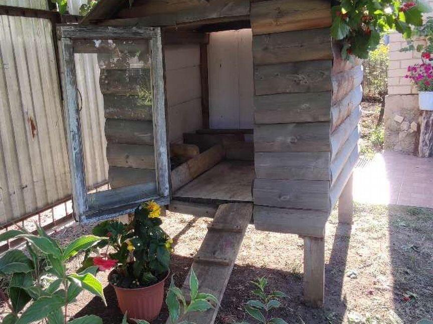 Курятник домик