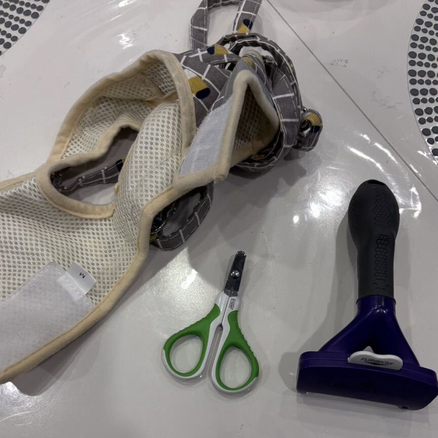 Принадлежности для кошек