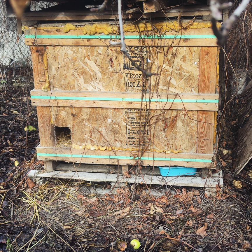 Будка для кошки зимняя