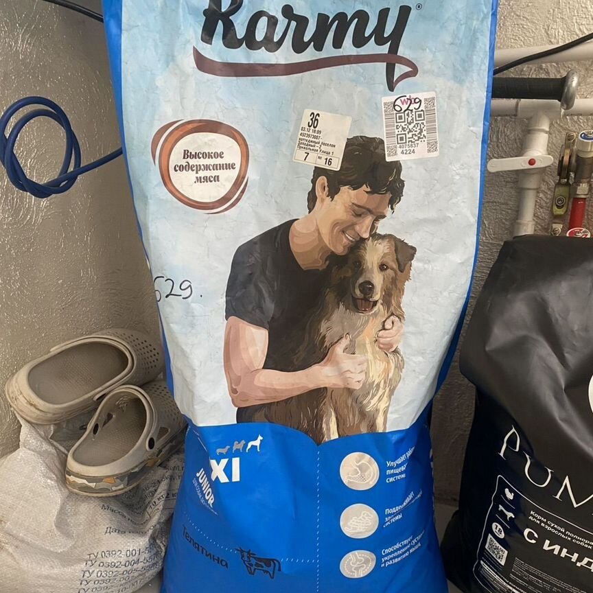 Сухой корм для собак