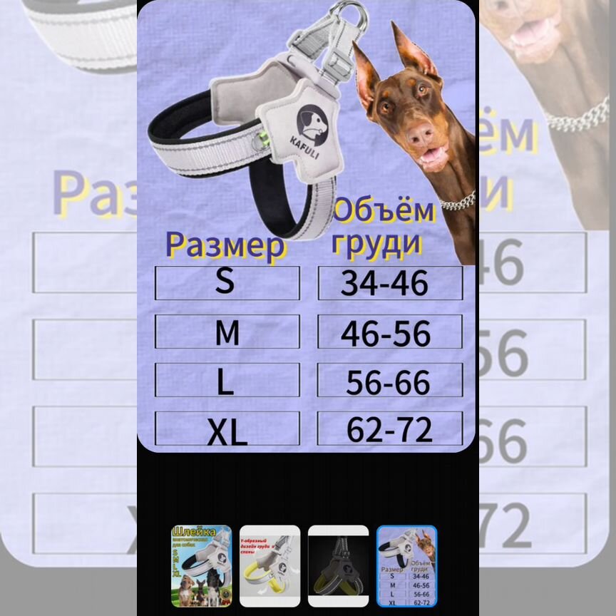 Шлейка для собаки
