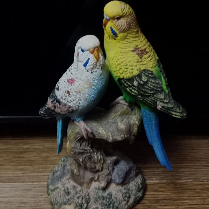 Волнистые попугаи