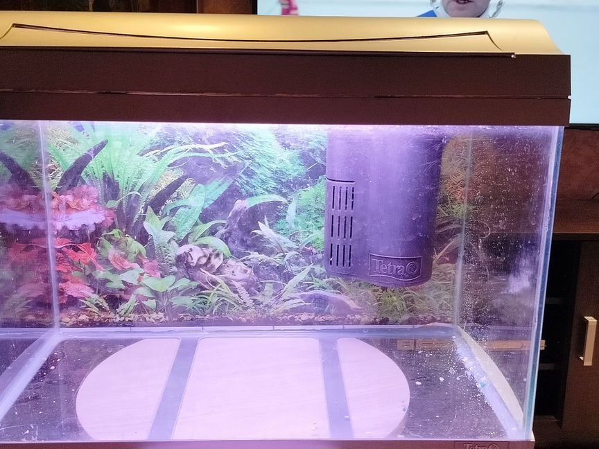 Аквариум Тетра 60 литров