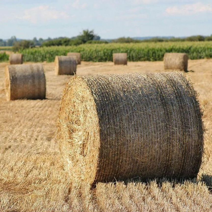 Сетка сеновязальная для обмотки рулонов