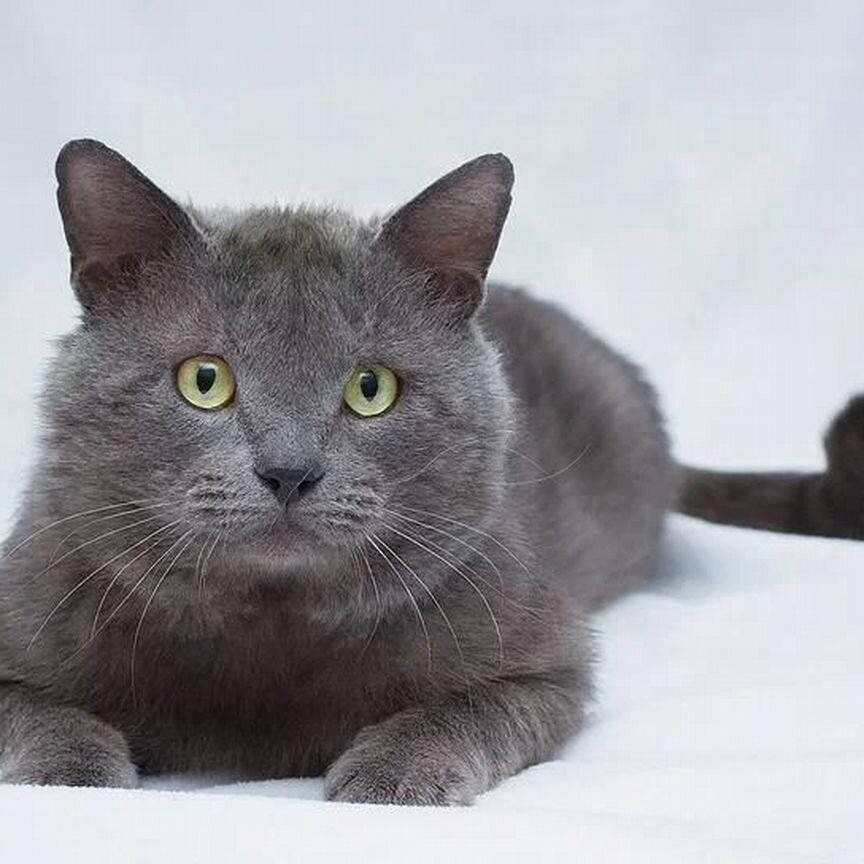 Брутальный парень Лаврентий ждет своего человека