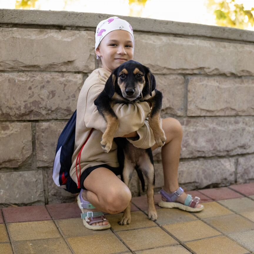 Лея ищет дом