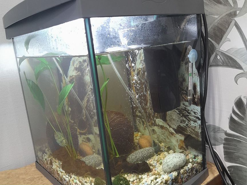 Аквариум 30л