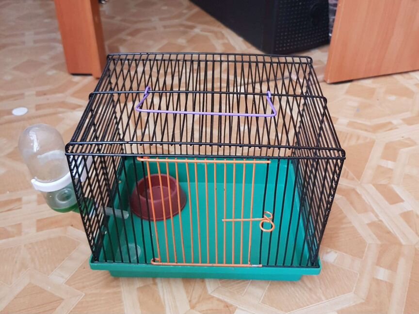Клетка для джунгарского хомяка
