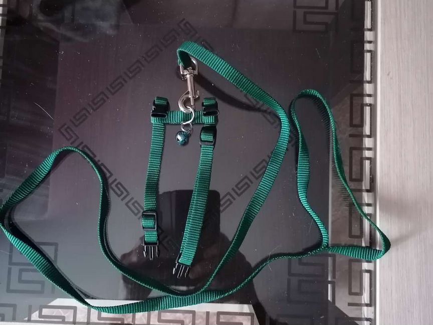 Шлейка для хорька