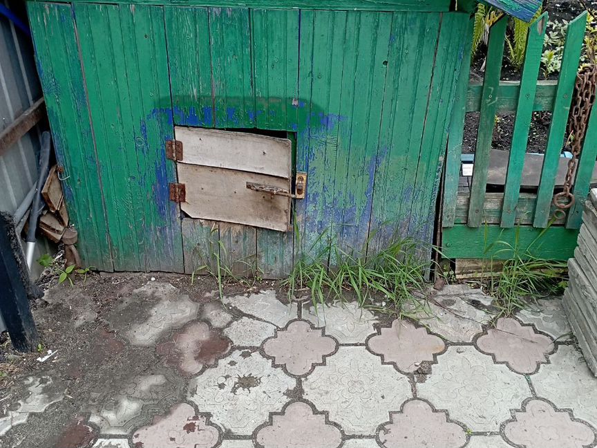 Будка для собаки