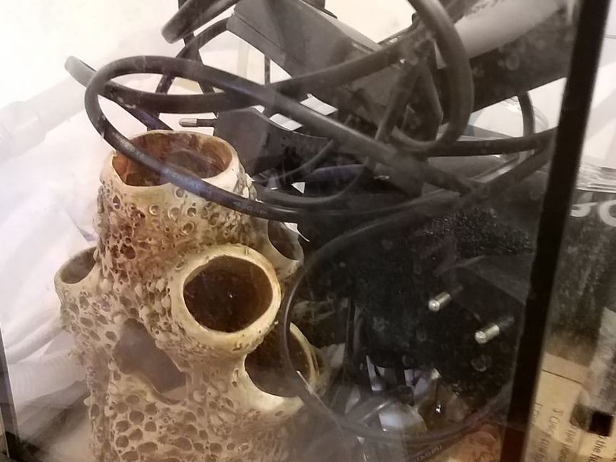 Аквариум с фильтром и светом