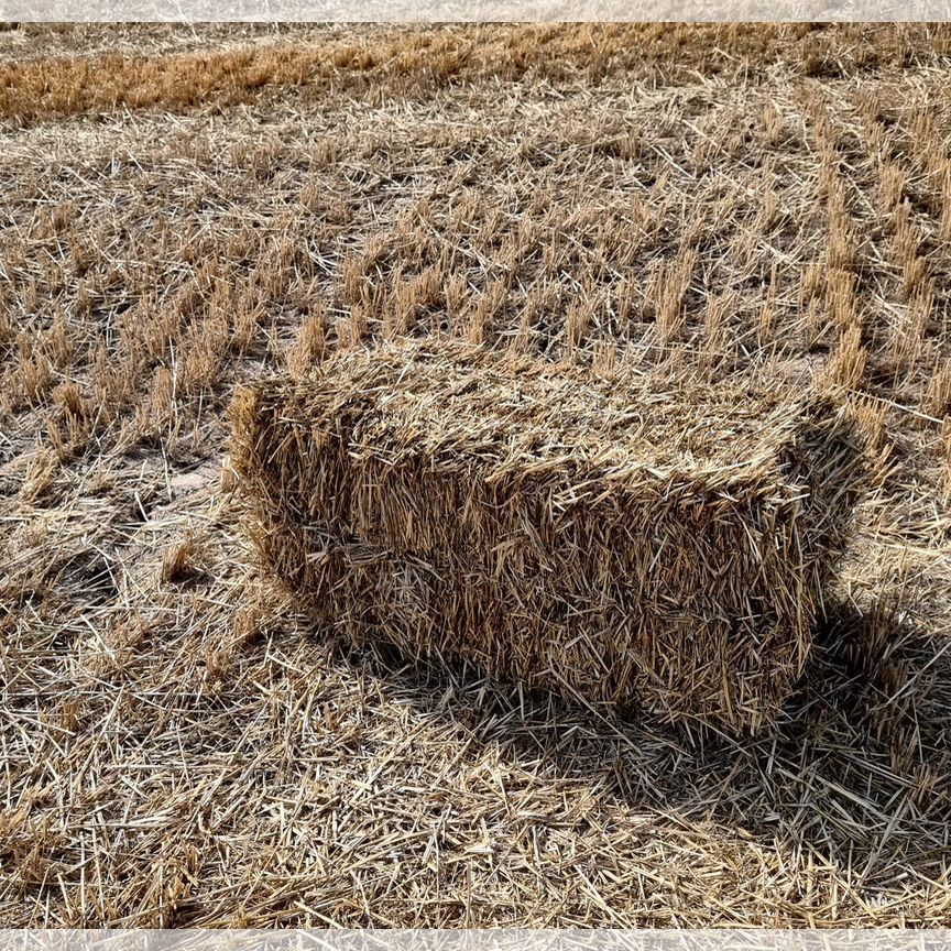 Пшеничная солома в тюках
