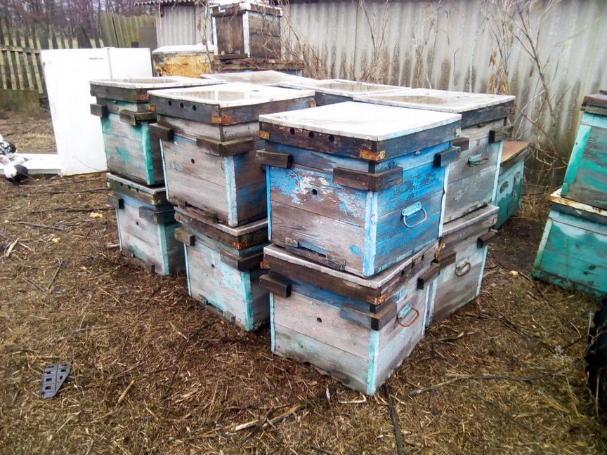 Продам ульи